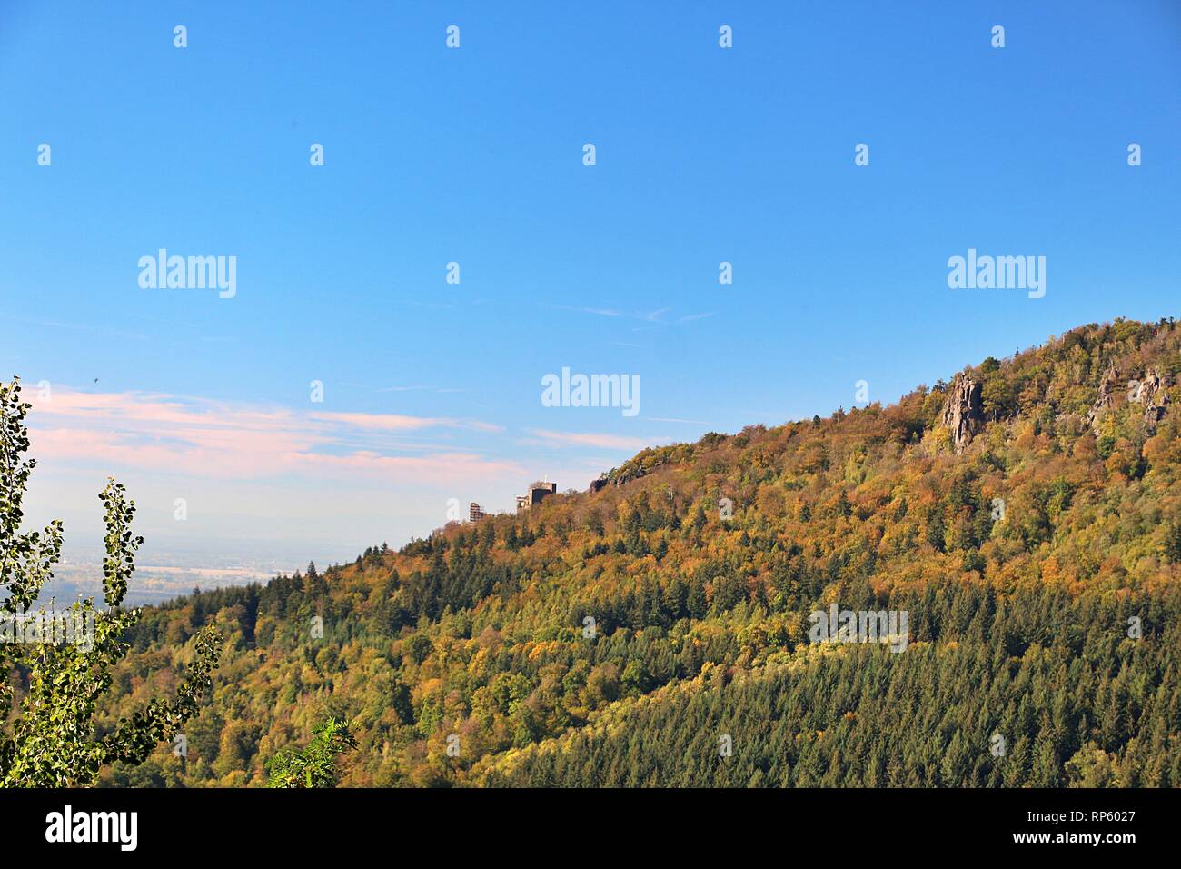 Black forest scenic hi-res stock photography and images - Alamy