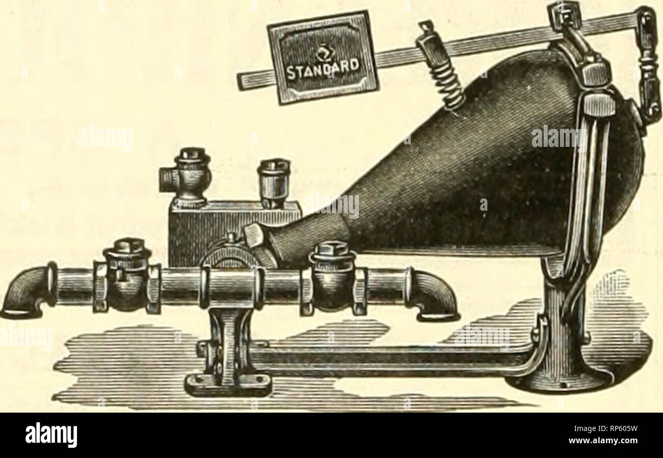 Sapwood Decay High Resolution Stock Photography and Images - Alamy
