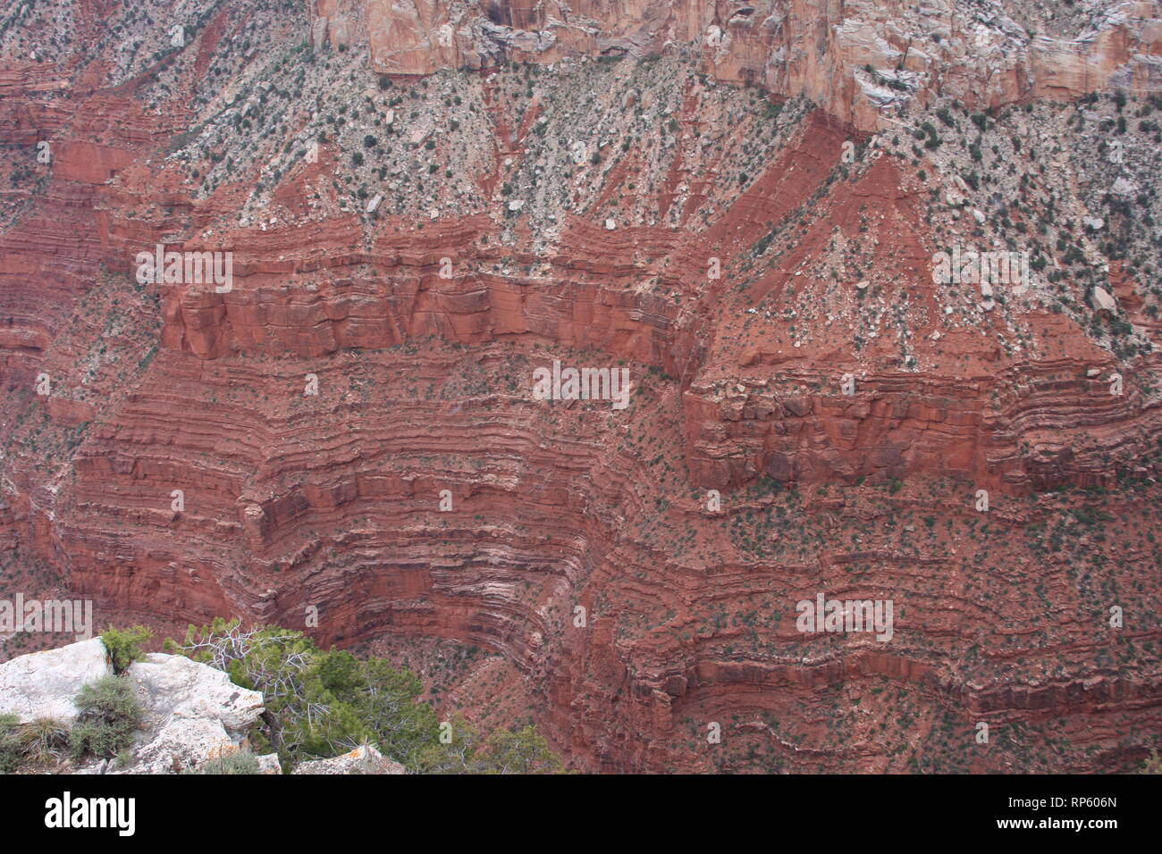 Iceage nature hi-res stock photography and images - Alamy