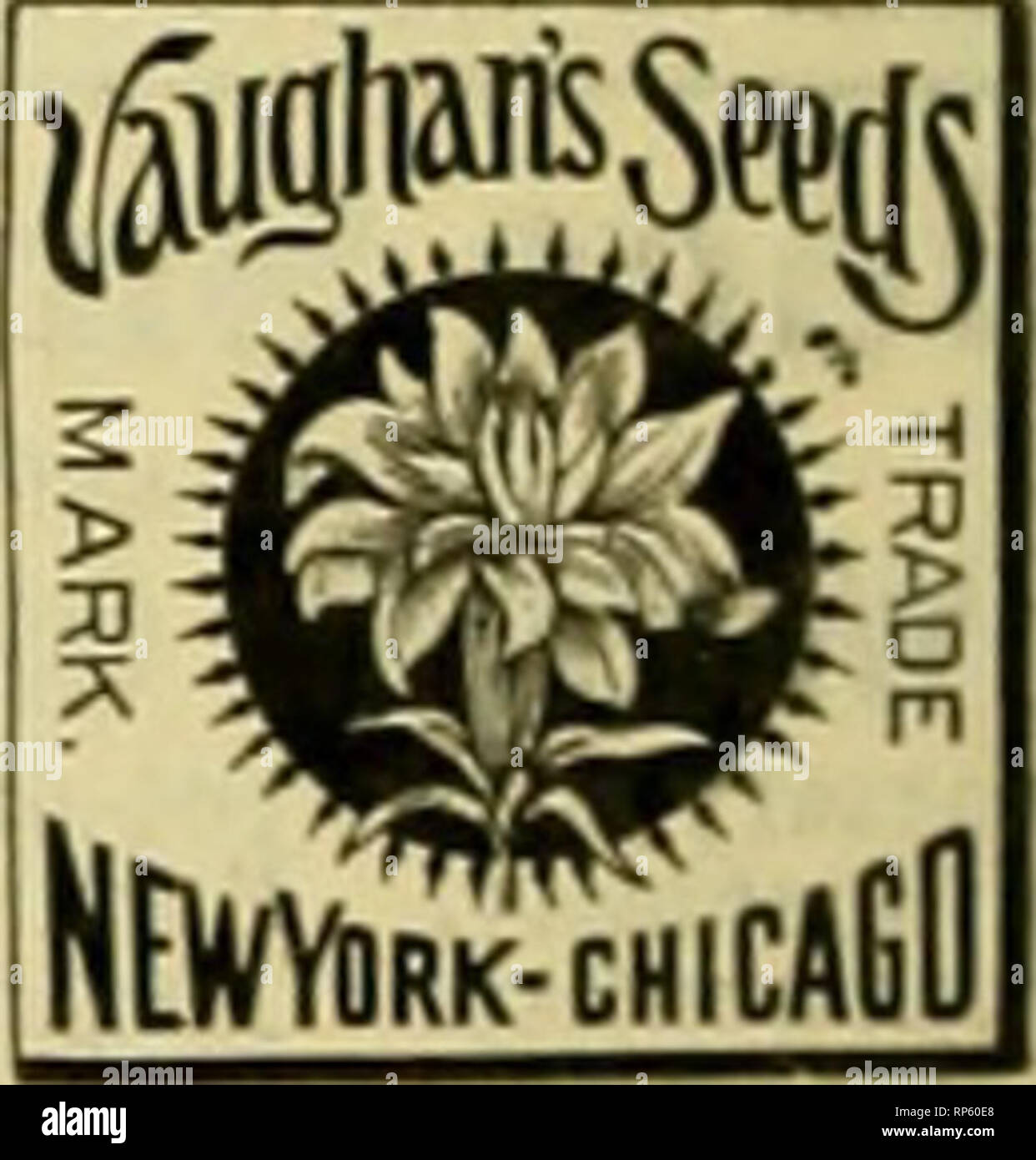 Bel motto hi-res stock photography and images - Alamy