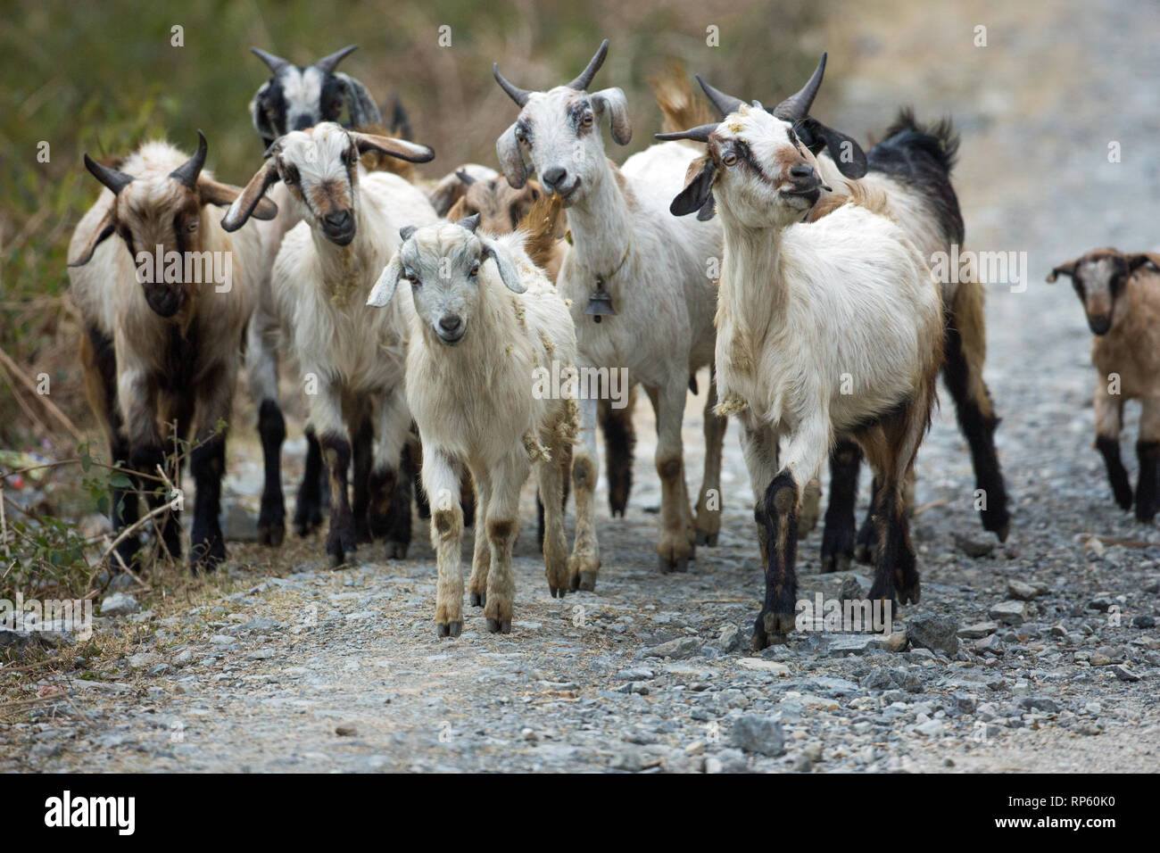 Tip toes hi-res stock photography and images - Alamy