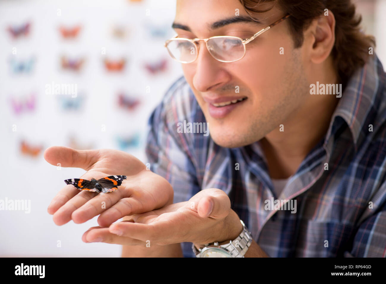 Student entomologist studying new species of butterflies Stock Photo ...