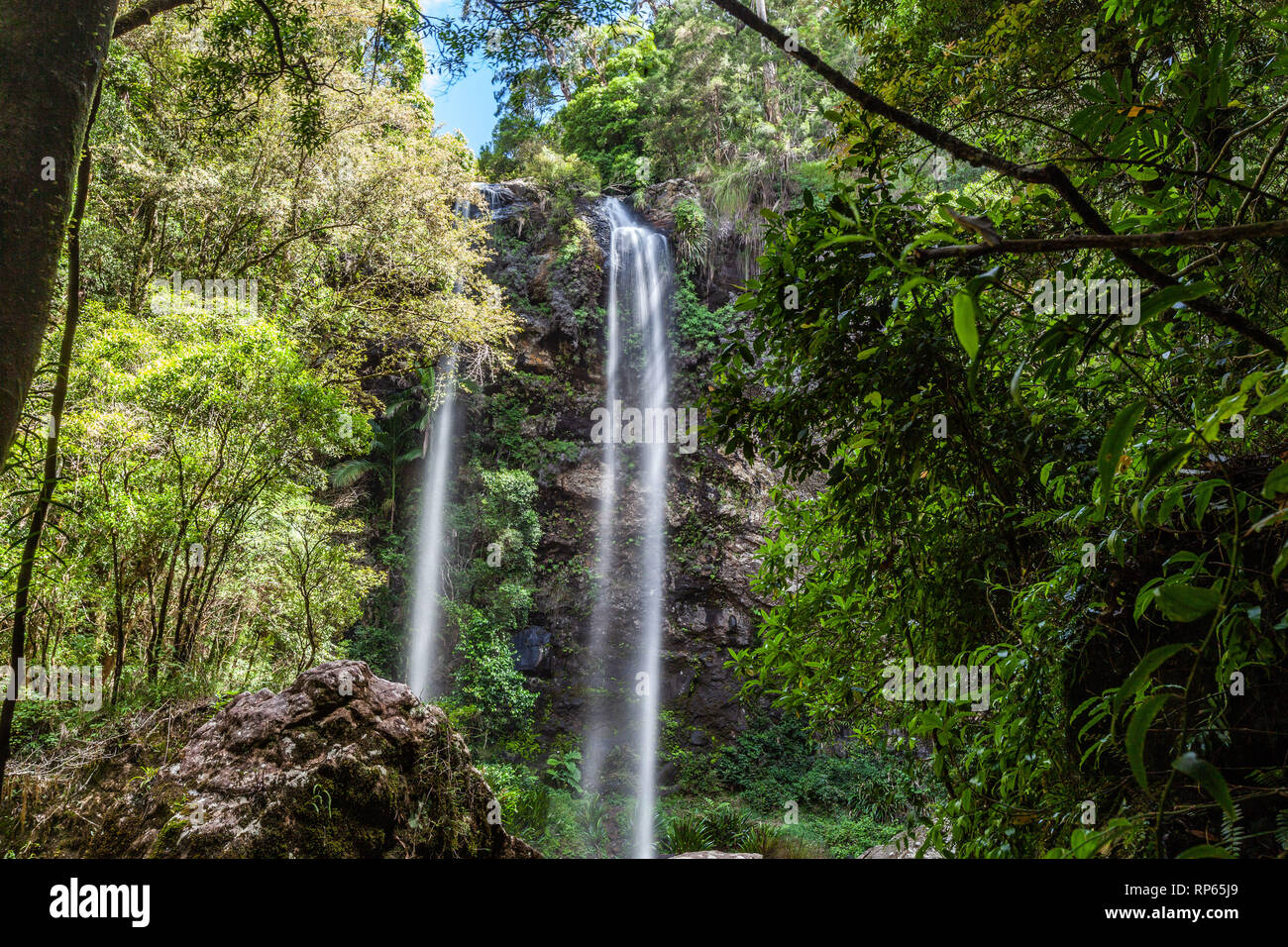 Scenic Twin falls in Springbrook National Park rainforest. Queensland ...