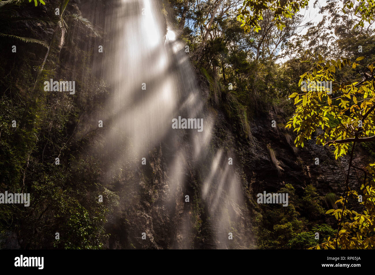 Light shining through trees hi-res stock photography and images - Alamy