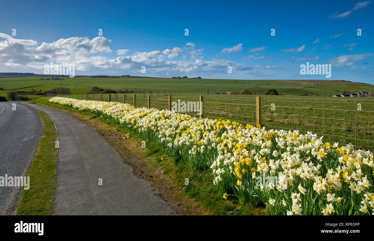 Sandend Scotland Stock Photos & Sandend Scotland Stock Images - Alamy