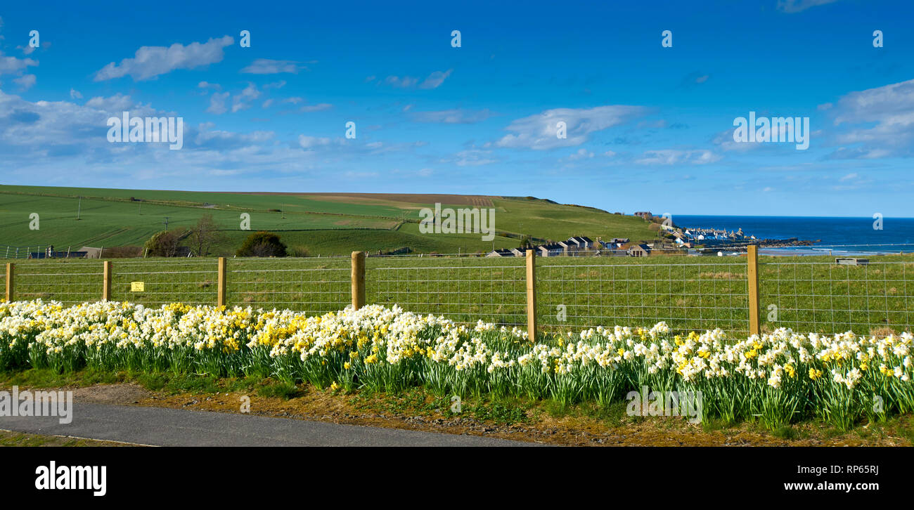Sandend village hi-res stock photography and images - Alamy