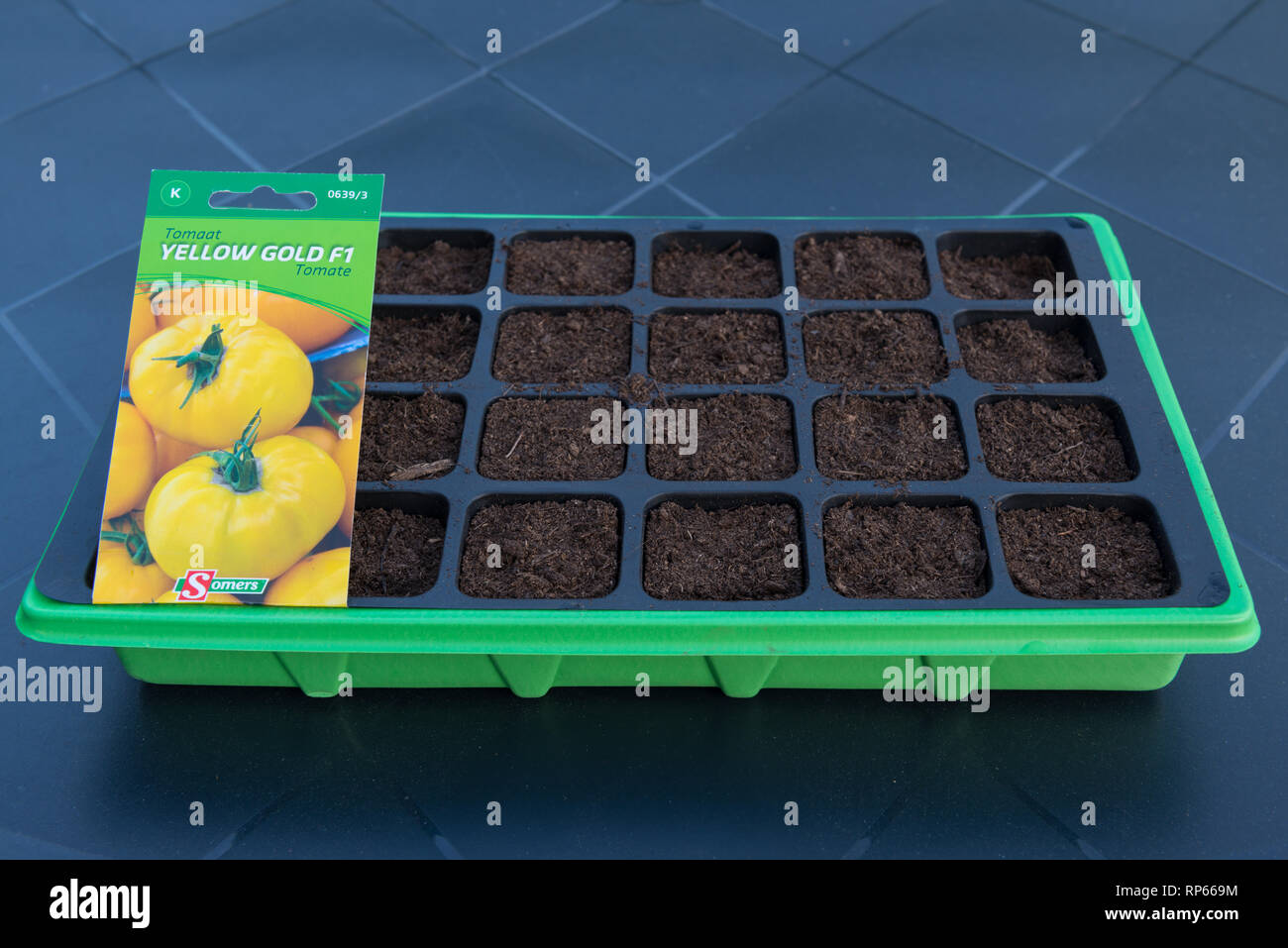 Green seedling container filled with potting soil. Tomato seeds type ...