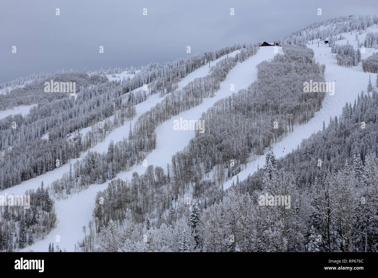 Steamboat springs colorado ski resort hi-res stock photography and ...