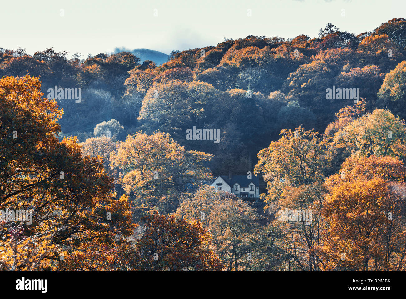 Lone house among colorful autumnal trees in Snowdonia National Park ...