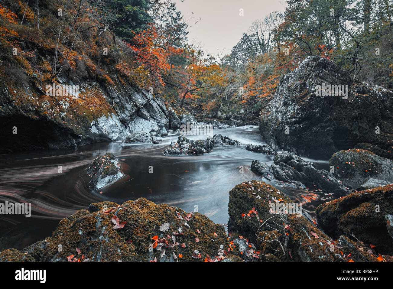 Mossy rocks of Fairy Glen Gorge waterfall at autumn in Snowdonia ...