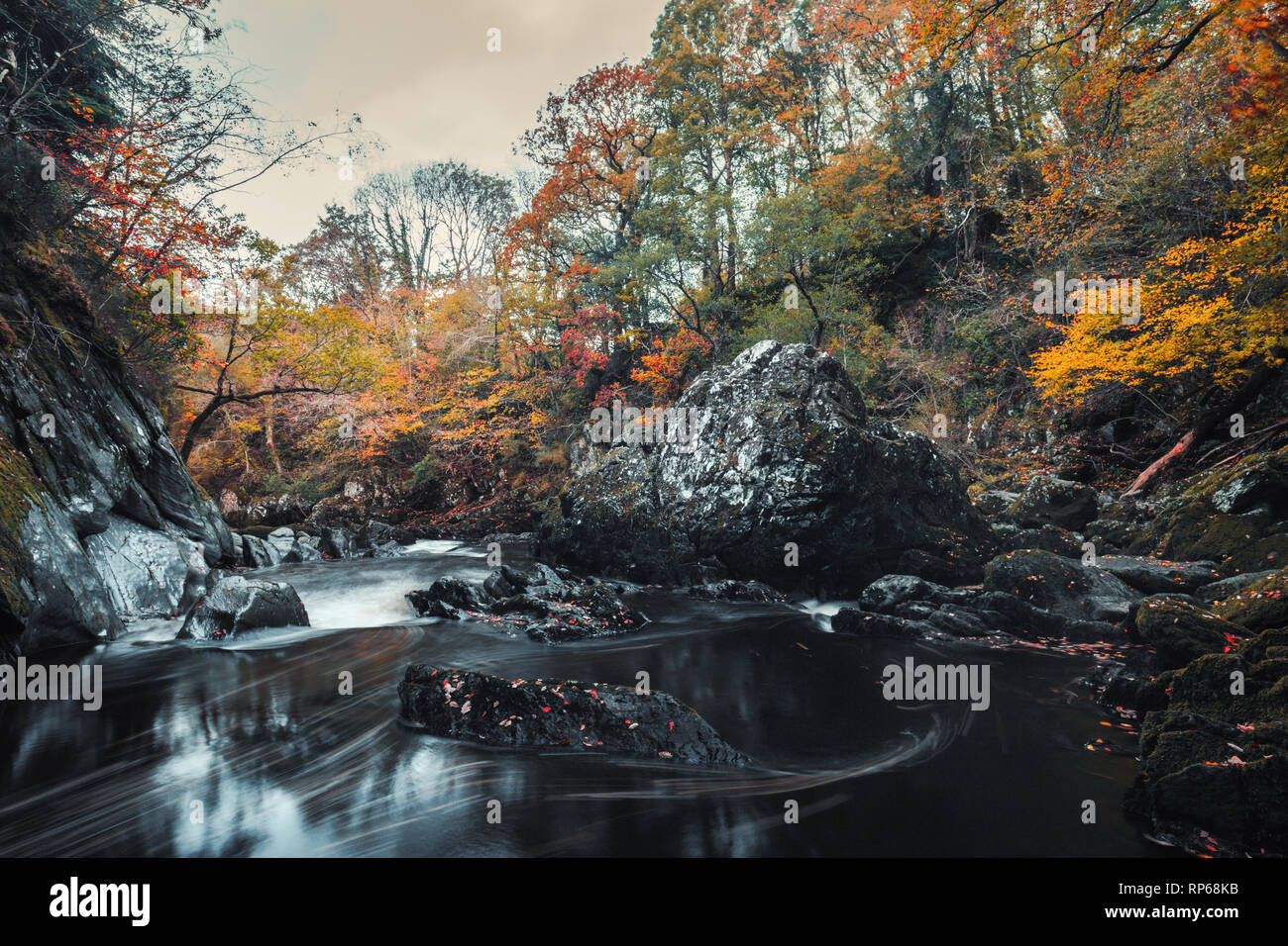 Fairy Glen Gorge waterfall at autumn in Snowdonia National Park, North ...