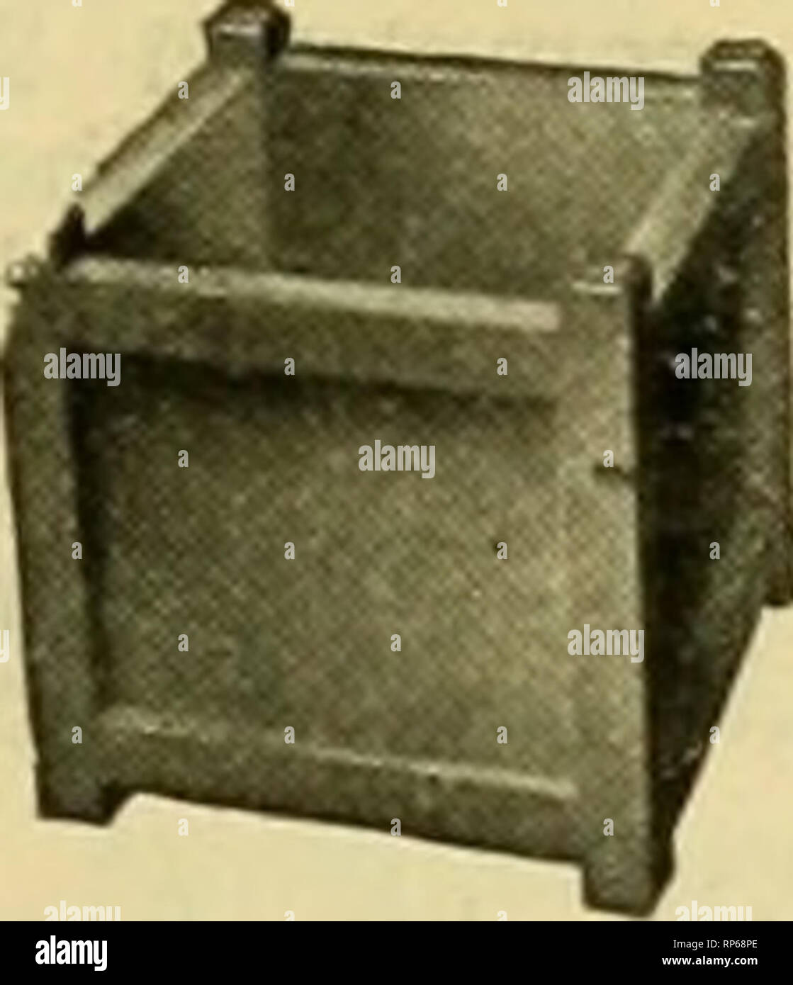 American boxwoods hi-res stock photography and images - Alamy