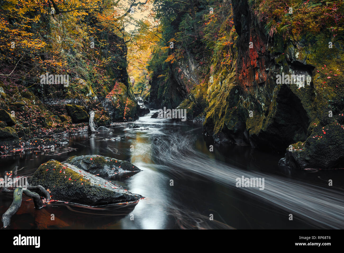 Fairy Glen Gorge waterfall at autumn in Snowdonia National Park, North ...