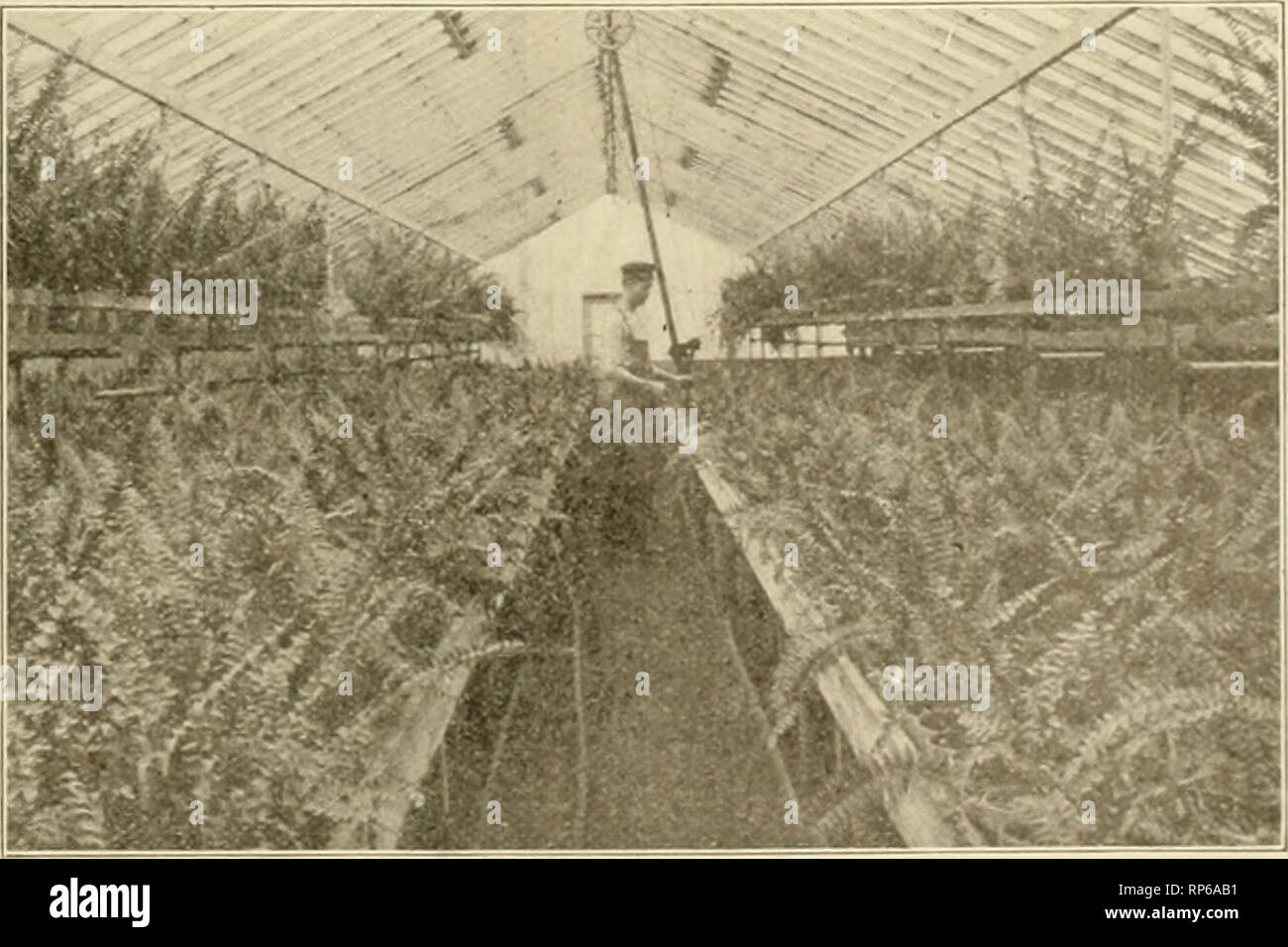 The uncle sam range hi-res stock photography and images - Alamy