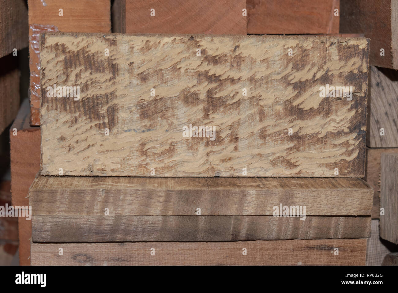 Coloration of scales hi-res stock photography and images - Alamy