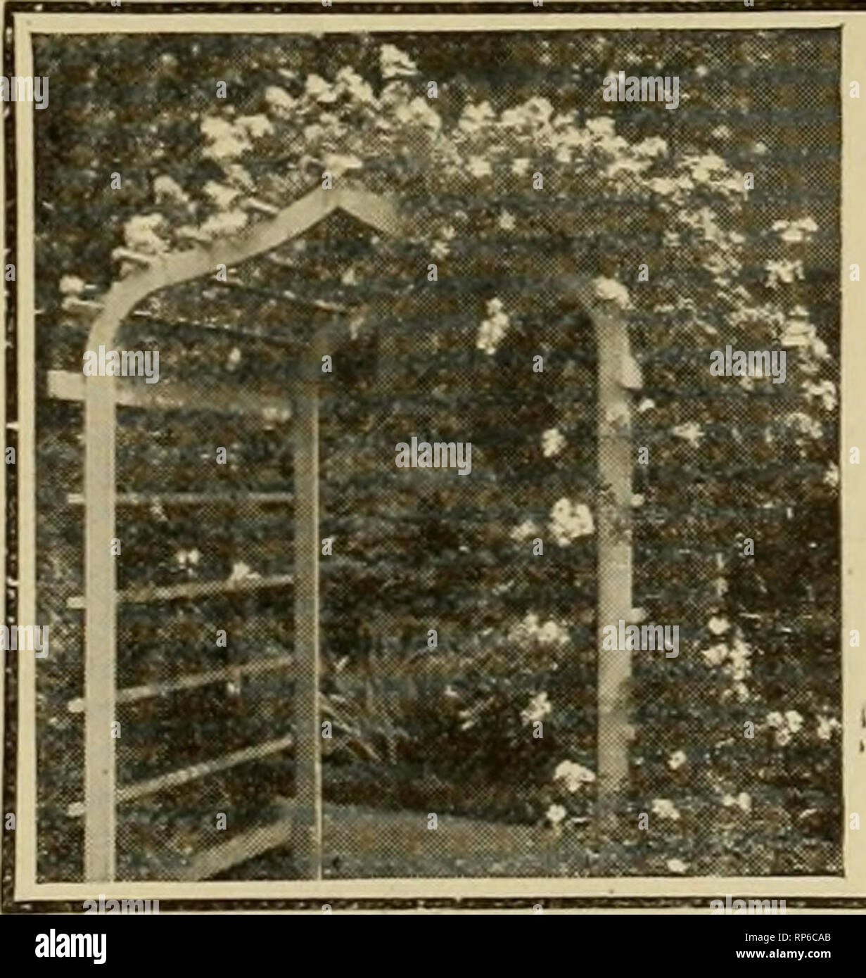 Catherine Hooper Fly Fishing