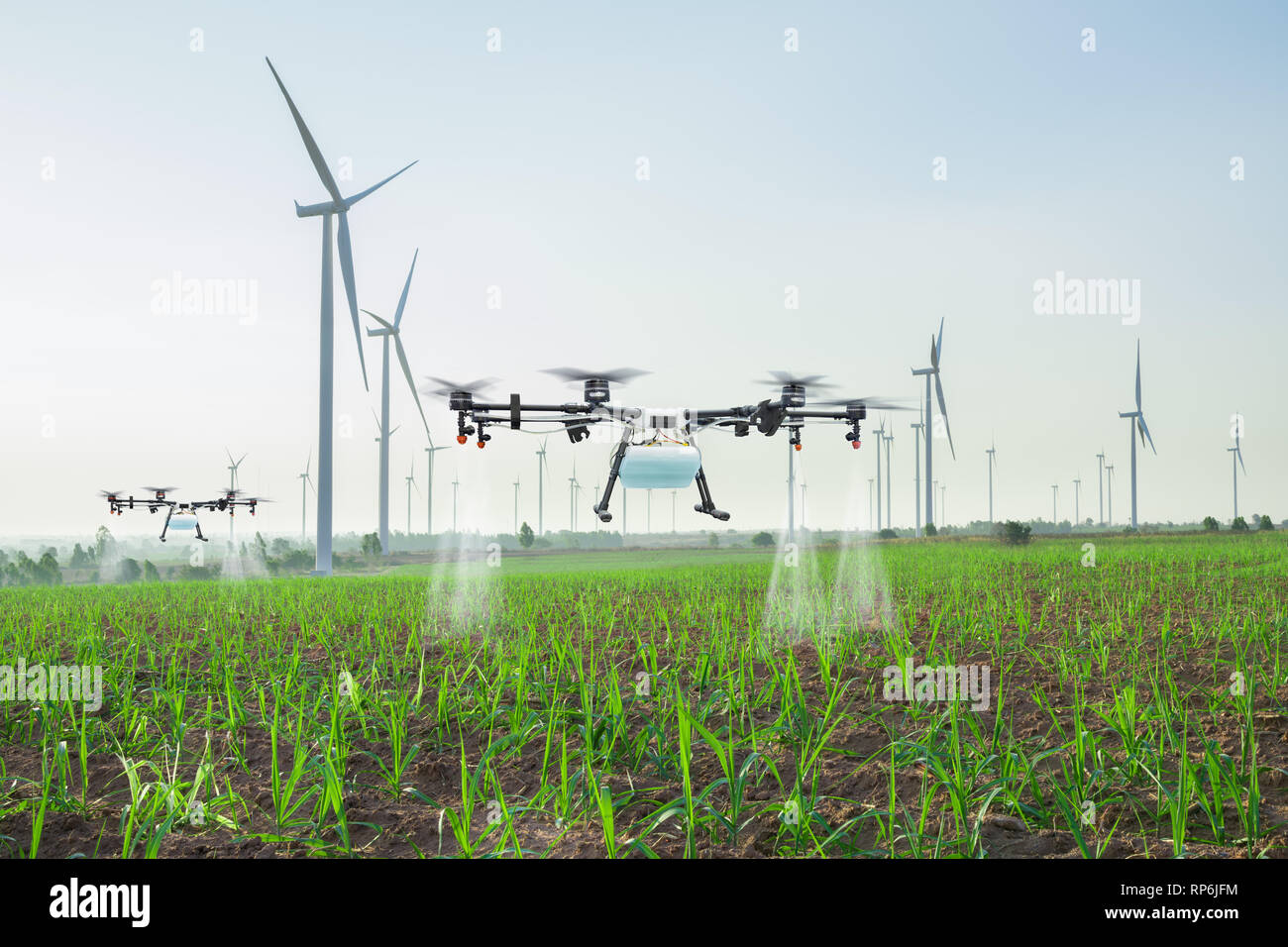Agriculture drone fly to spray fertilizer on the sugarcane fields, Smart farm 4.0 concept Stock ...