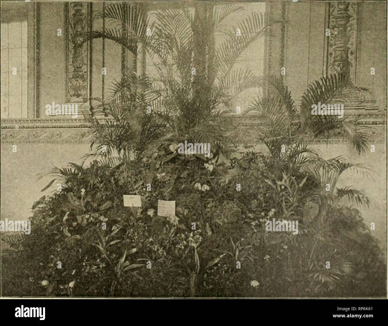 John wald hi-res stock photography and images - Alamy