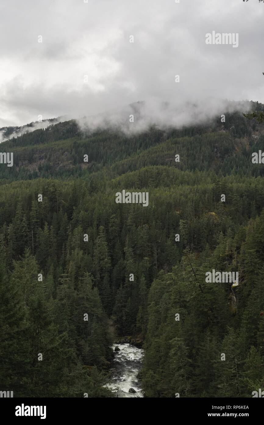 Forest and valley scene Stock Photo - Alamy