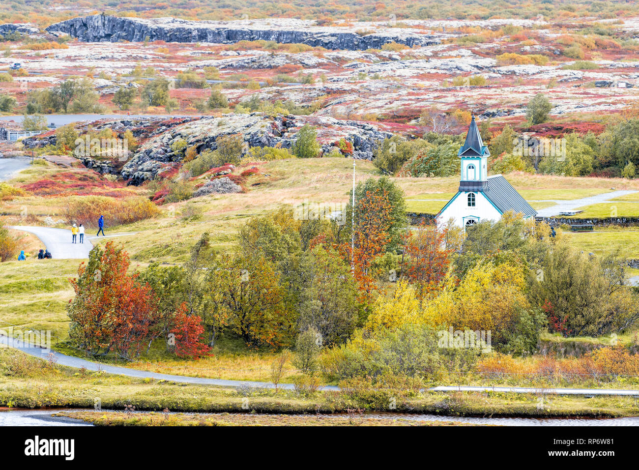 Thingvellir National Park with colorful yellow orange autumn foliage ...