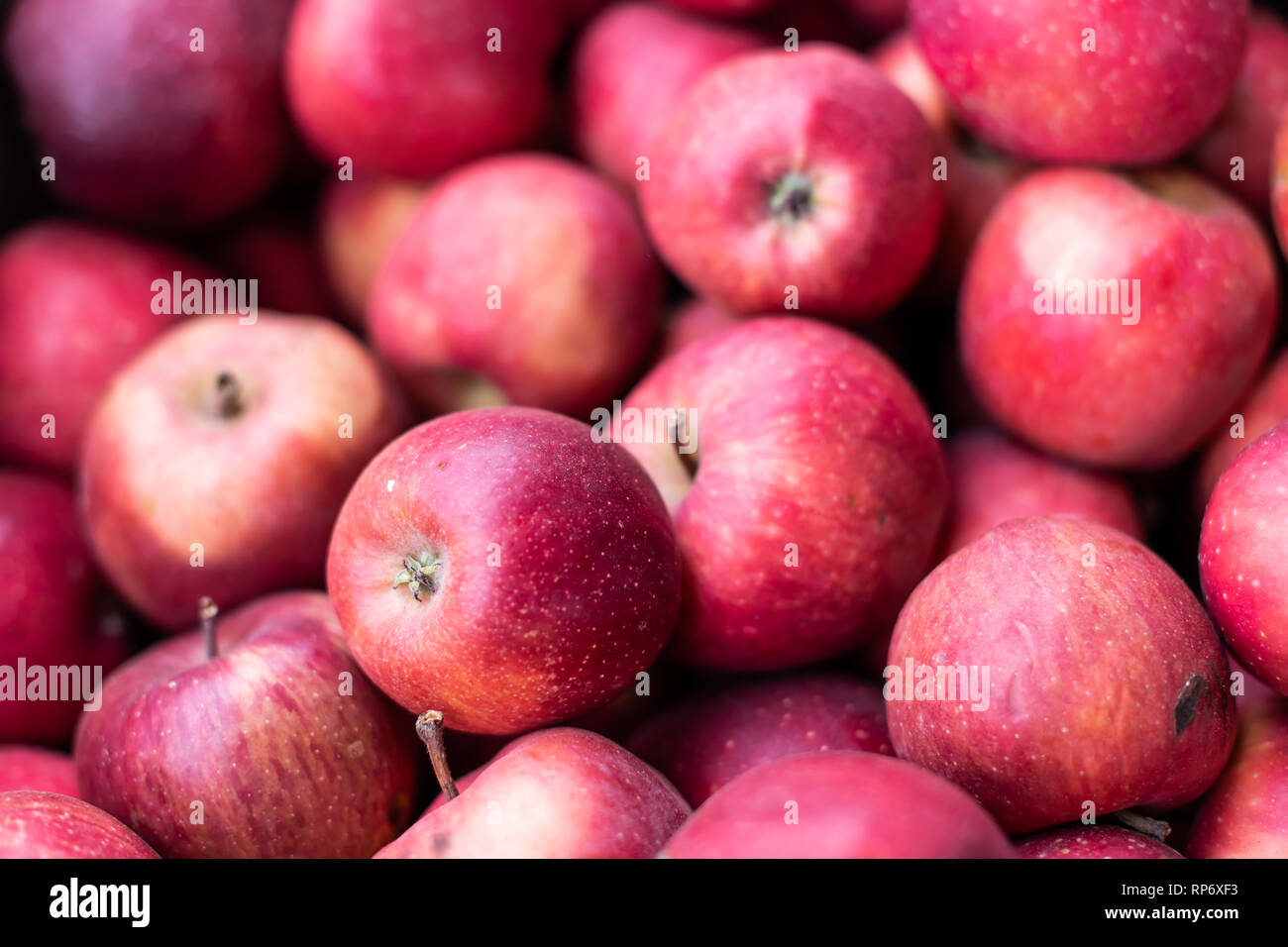 Closeup of many red delicious apples in box at farmer's market shop ...