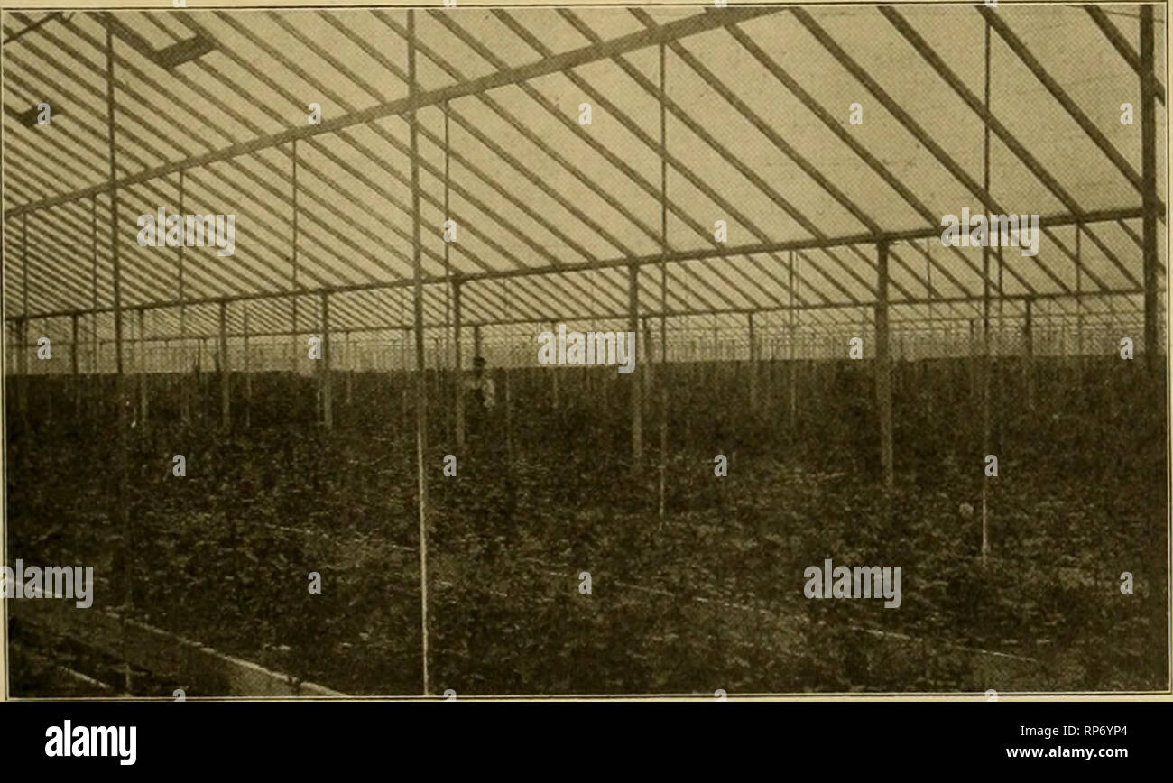 Reinberg establishment hi-res stock photography and images - Alamy