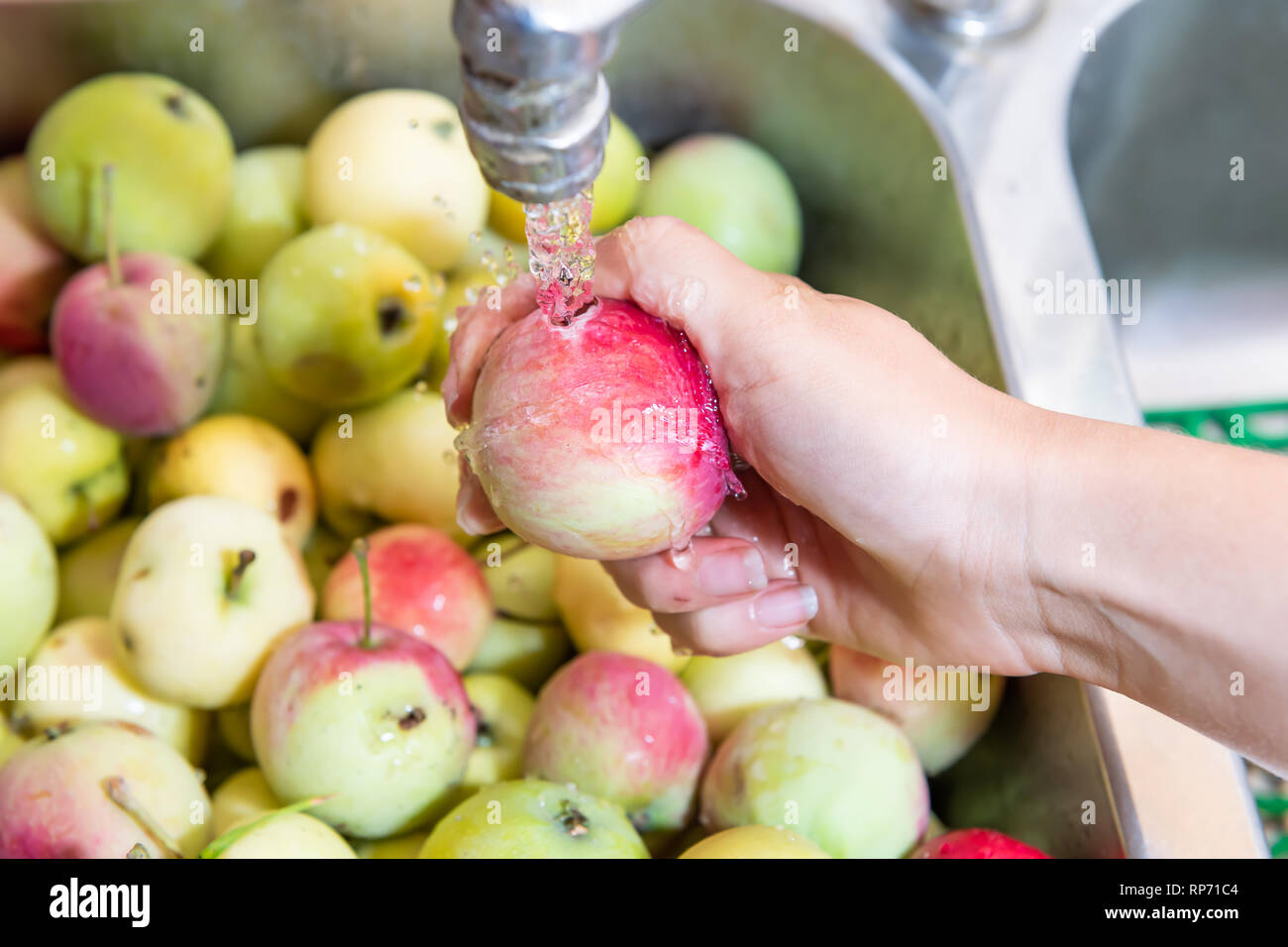 Many green yellow or pink lady apples or sink with hand washing one ...