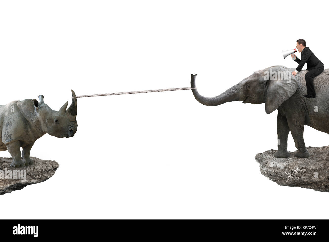 Man sitting on elephant against rhinoceros with rope pulling on two ...