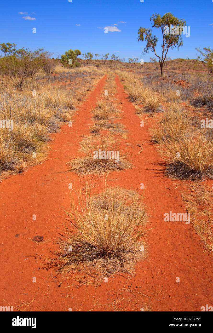 Queensland Australia Outback Emergency Meetings Underway As Outback