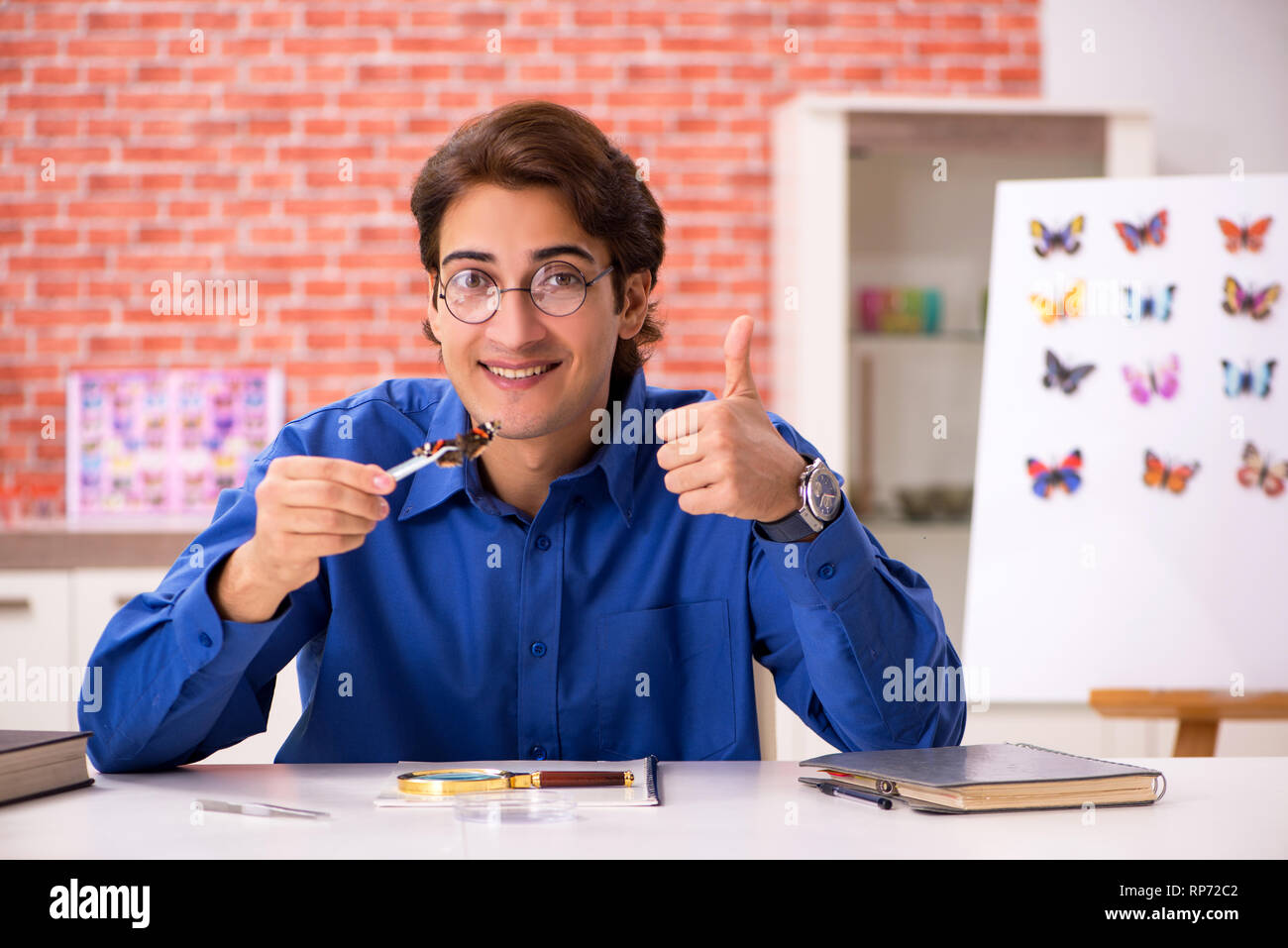 Student entomologist studying new species of butterflies Stock Photo ...