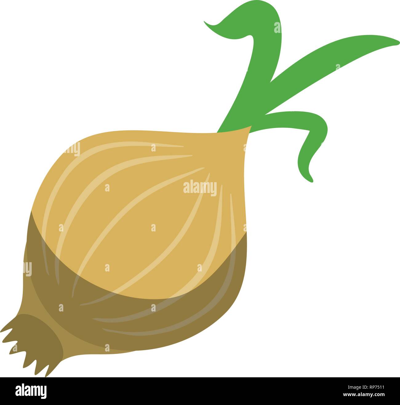 onion fresh vegetable cartoon Stock Vector Image & Art - Alamy