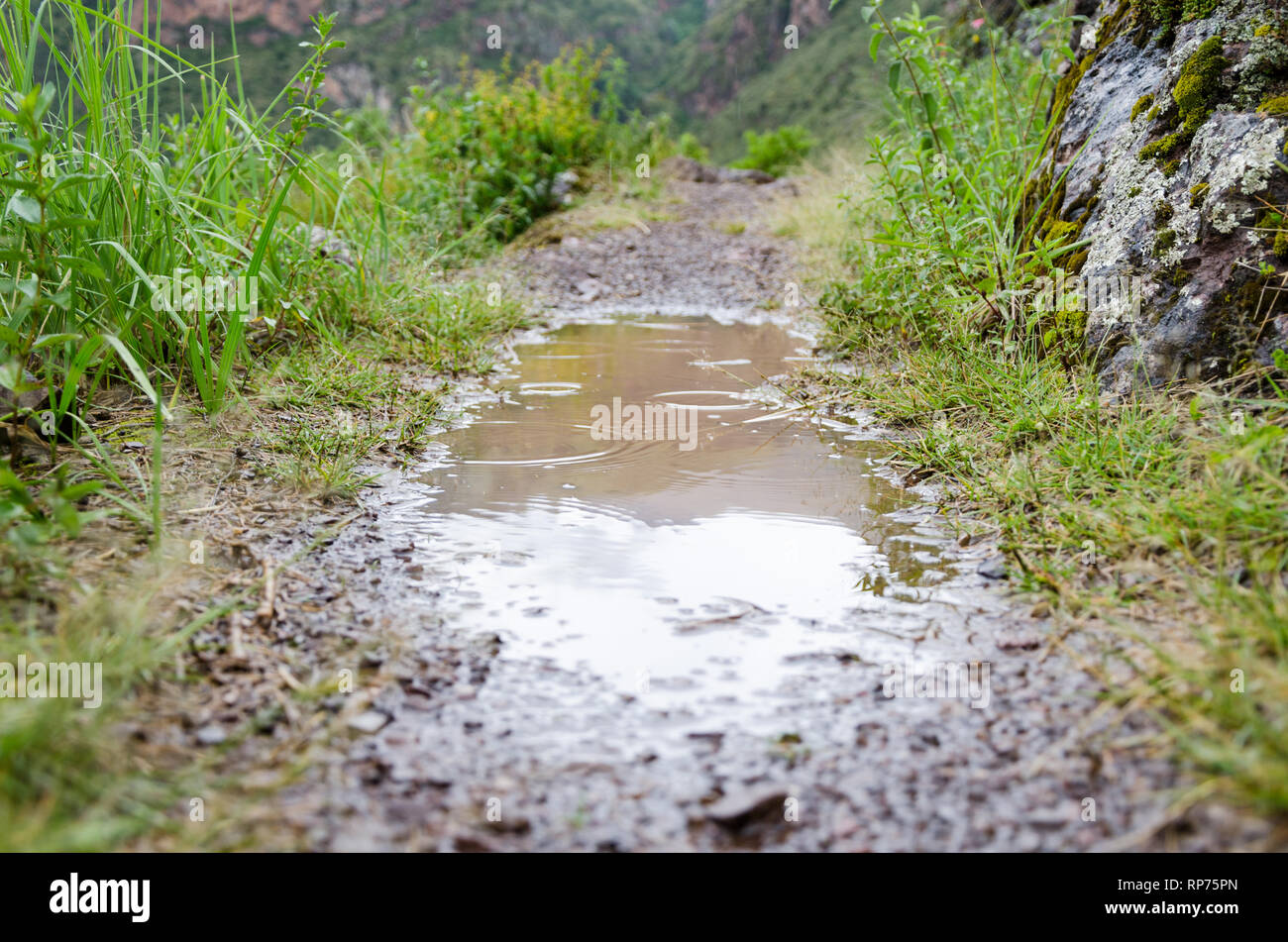 A large puddle in the mountain of Pisac - Cusco during the rain. Drops ...