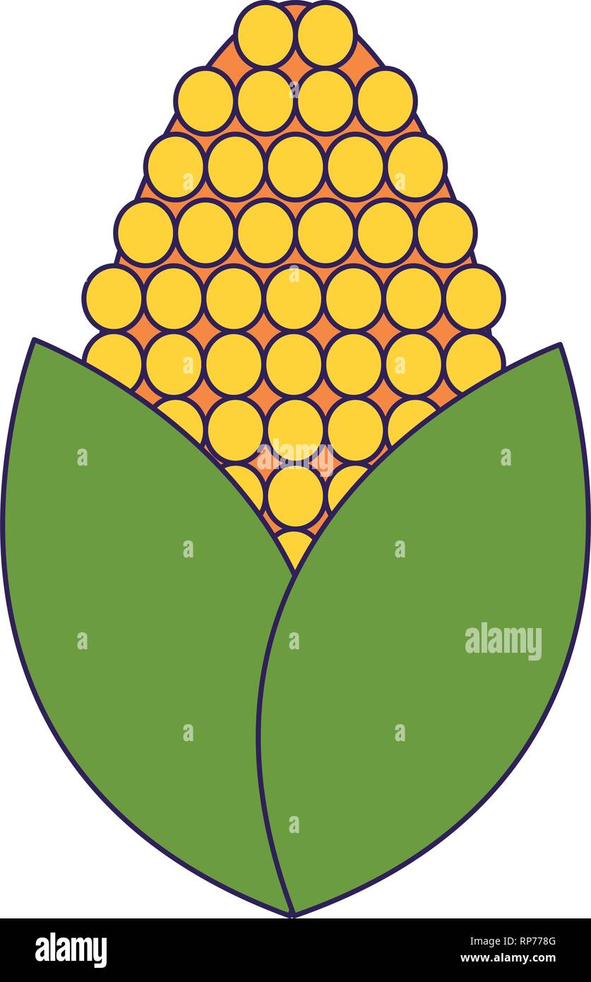 Corn food symbol blue lines Stock Vector Image & Art - Alamy