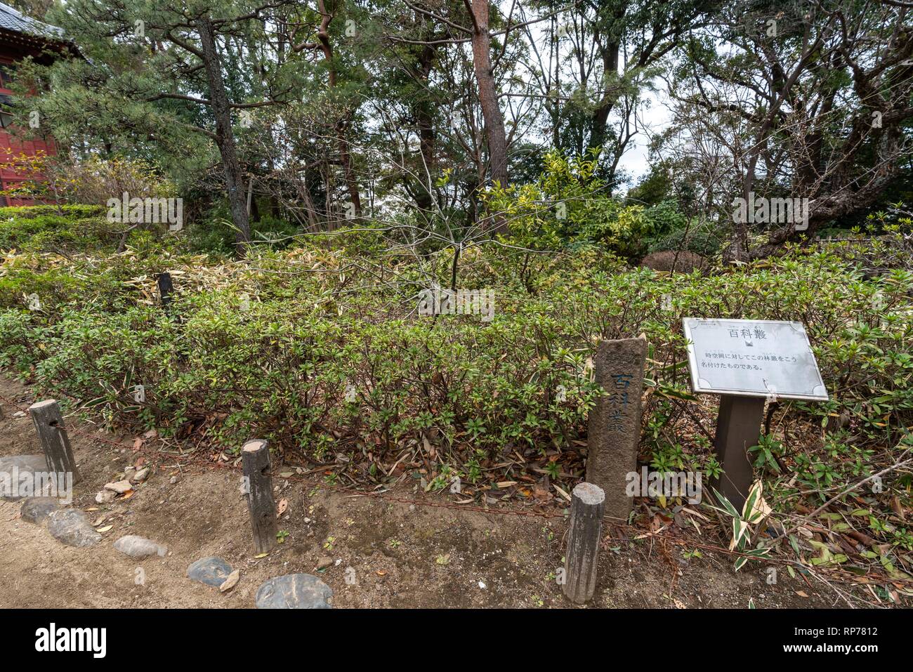 Tetsugakudo koen hi-res stock photography and images - Alamy