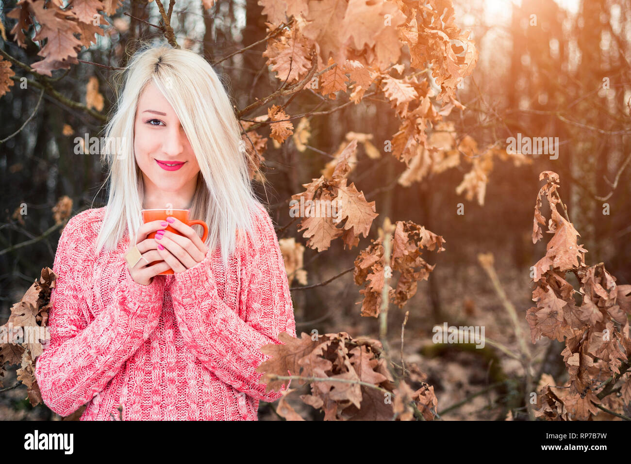 Tea forest hi-res stock photography and images - Alamy