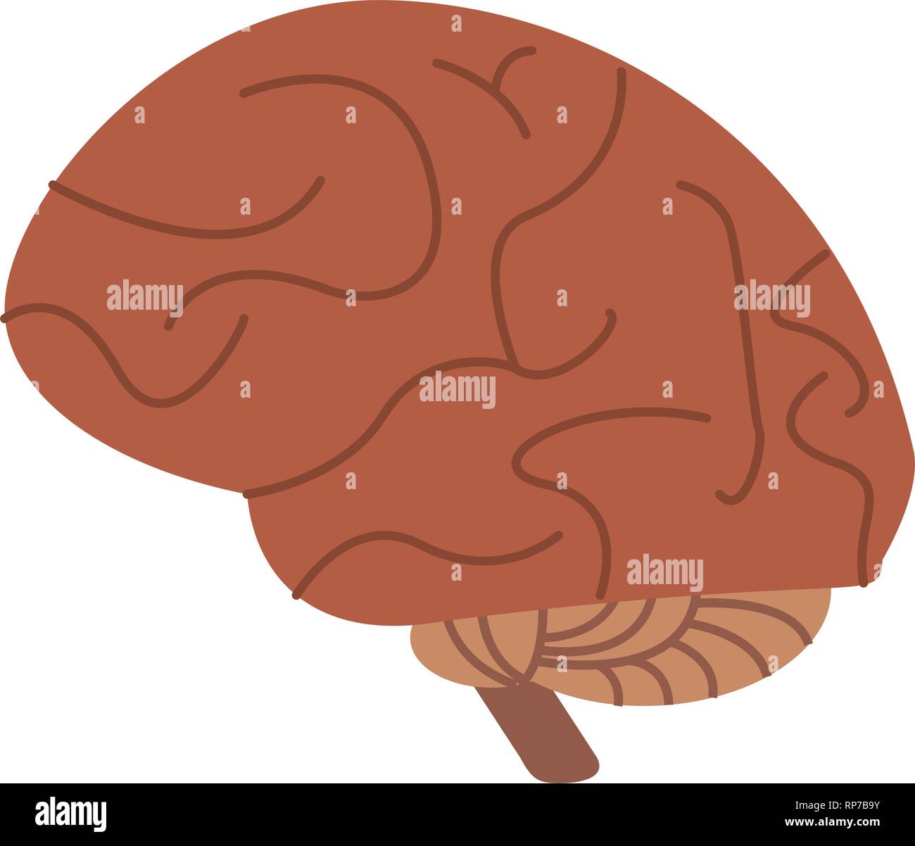 human brain symbol isolated Stock Vector Image & Art - Alamy