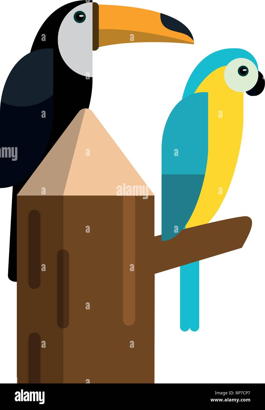 Funny tucan Stock Vector Images - Alamy