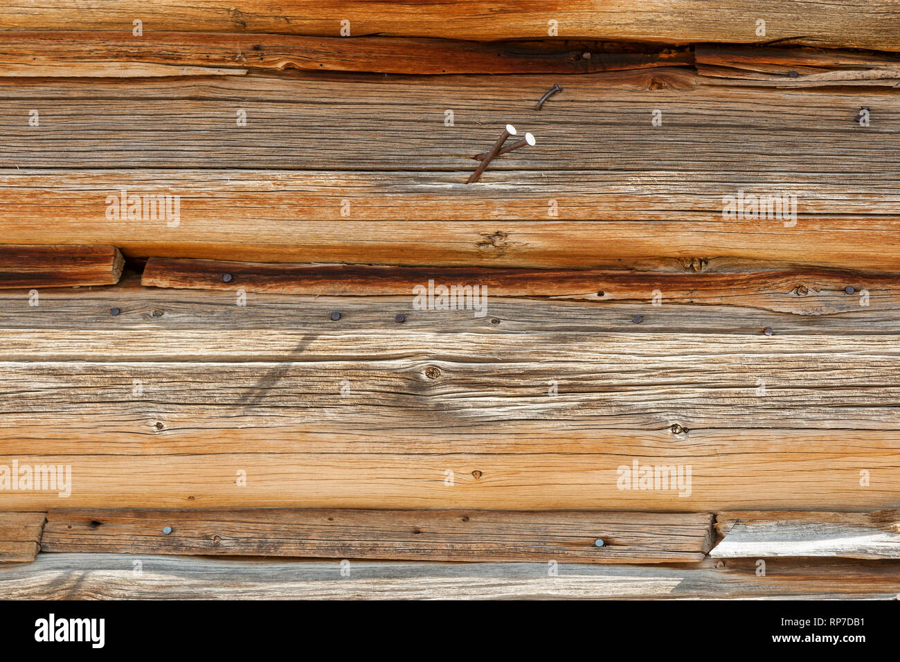 Weathered wooden barn wall with rusty nails Stock Photo - Alamy