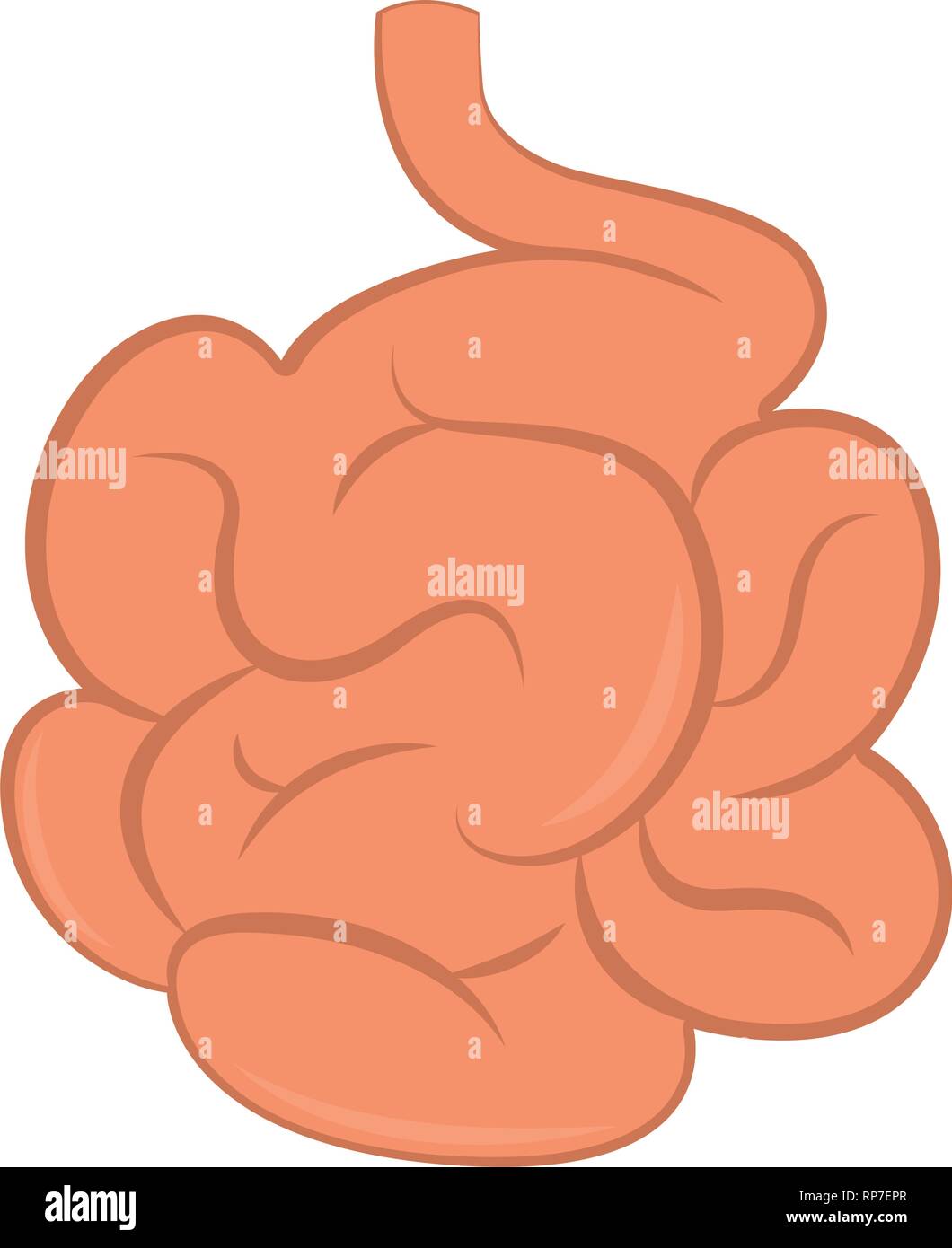 Anatomy intestine Stock Vector Images - Alamy