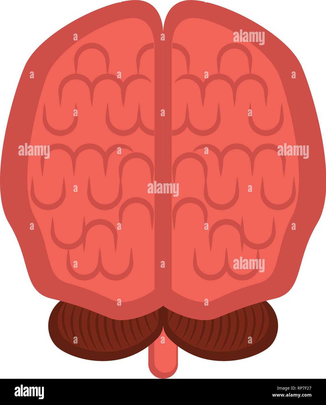 Human brain cut Stock Vector Images - Alamy