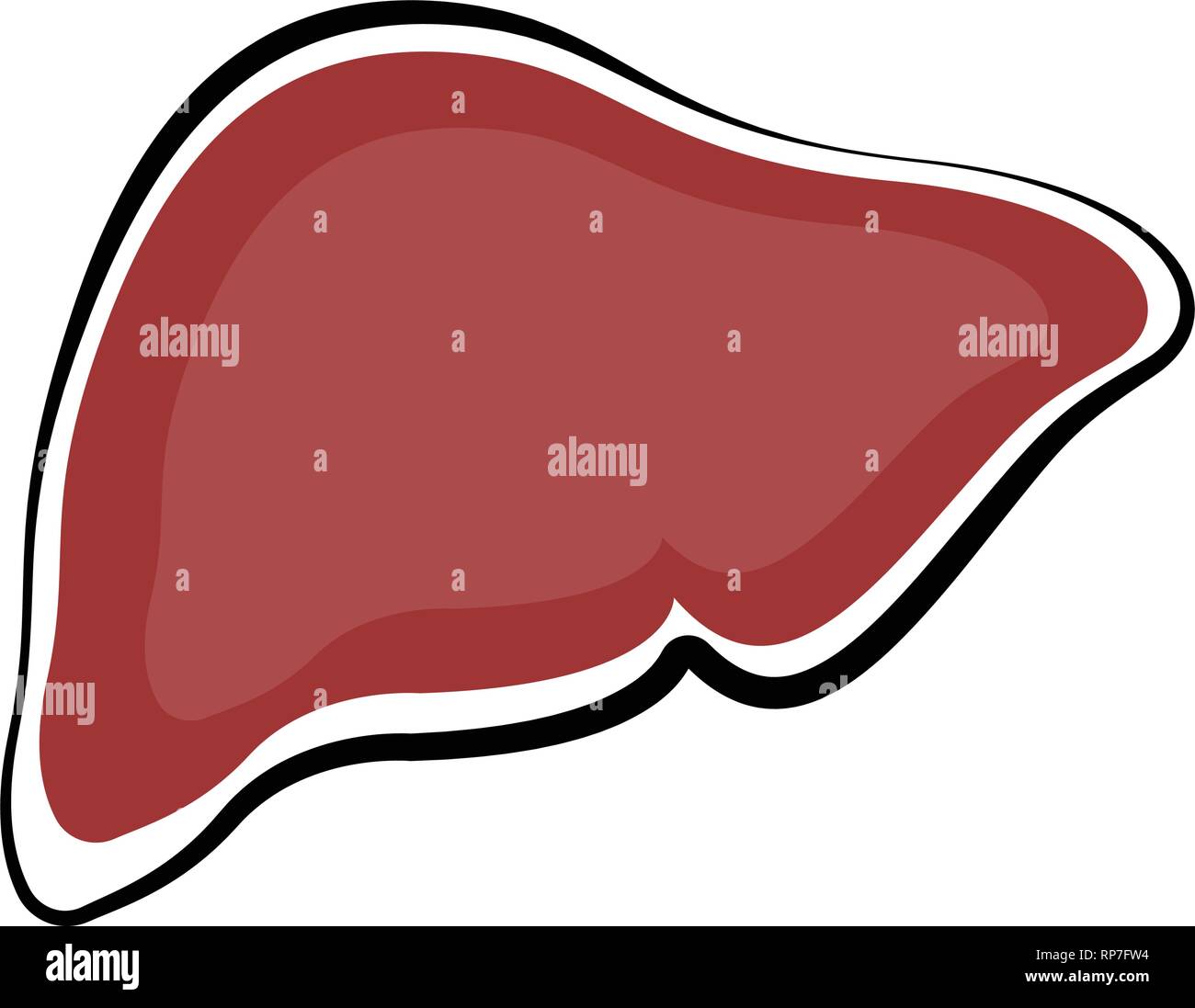 Isolated human liver. Colored sketch Stock Vector Image & Art - Alamy