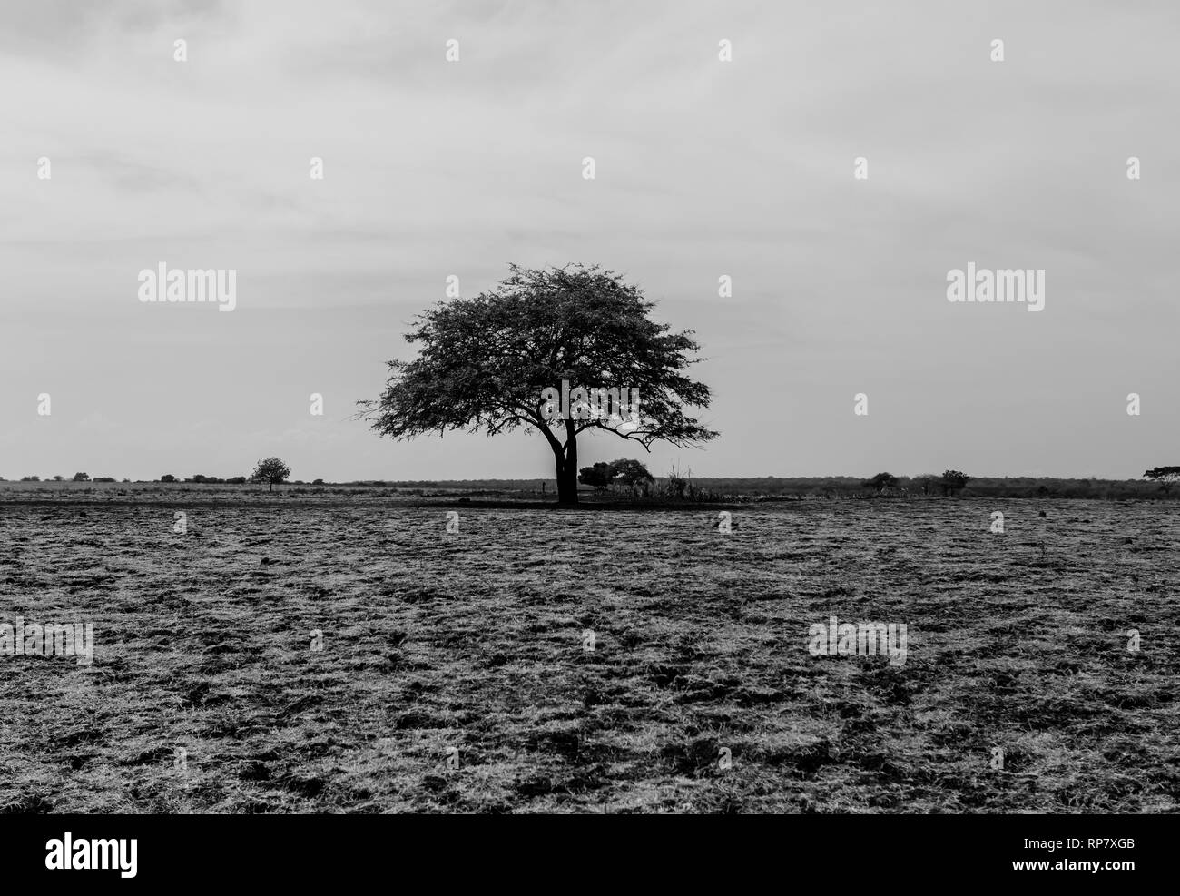 Surabaya landscape Black and White Stock Photos & Images - Alamy