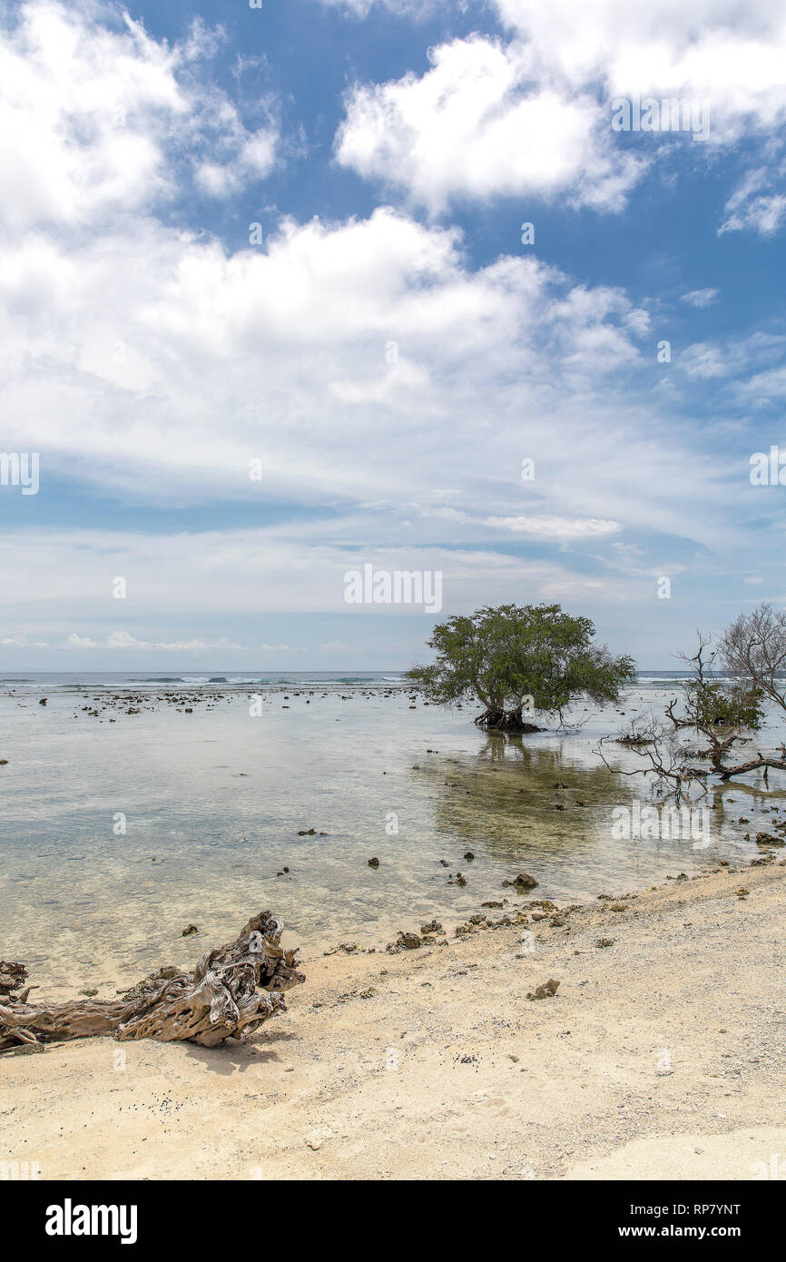 Ocean view and dry ocean on the beach of Gili Trawangan, Indonesia ...