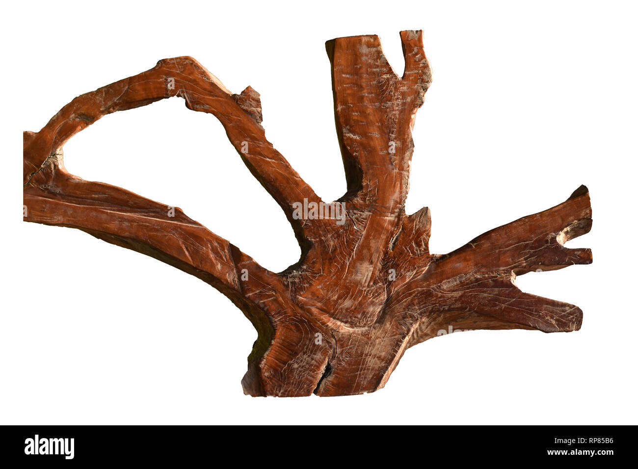 Tree stump isolated on white background with Clipping Path Stock Photo ...