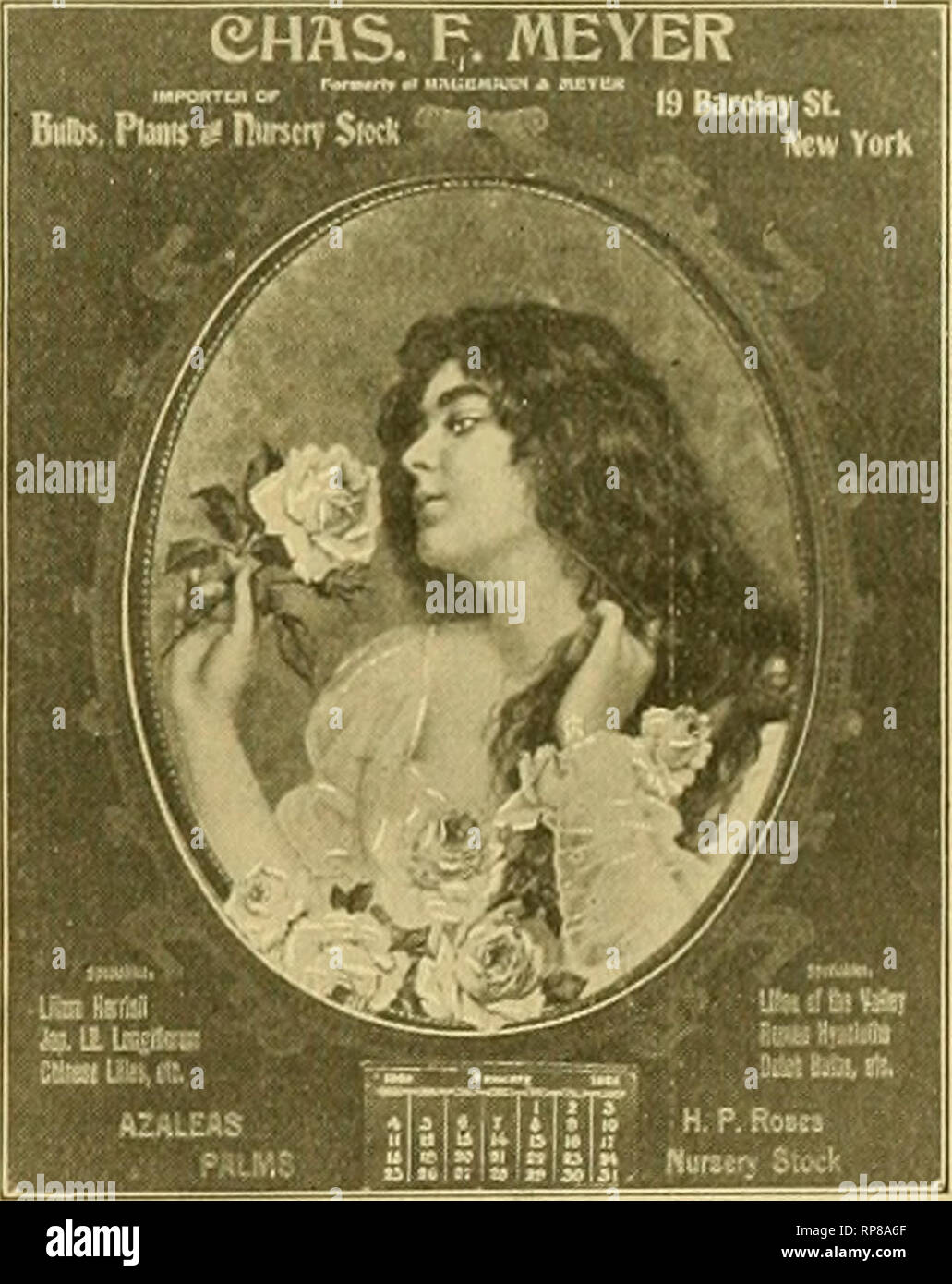 . The American florist : a weekly journal for the trade. Floriculture ...