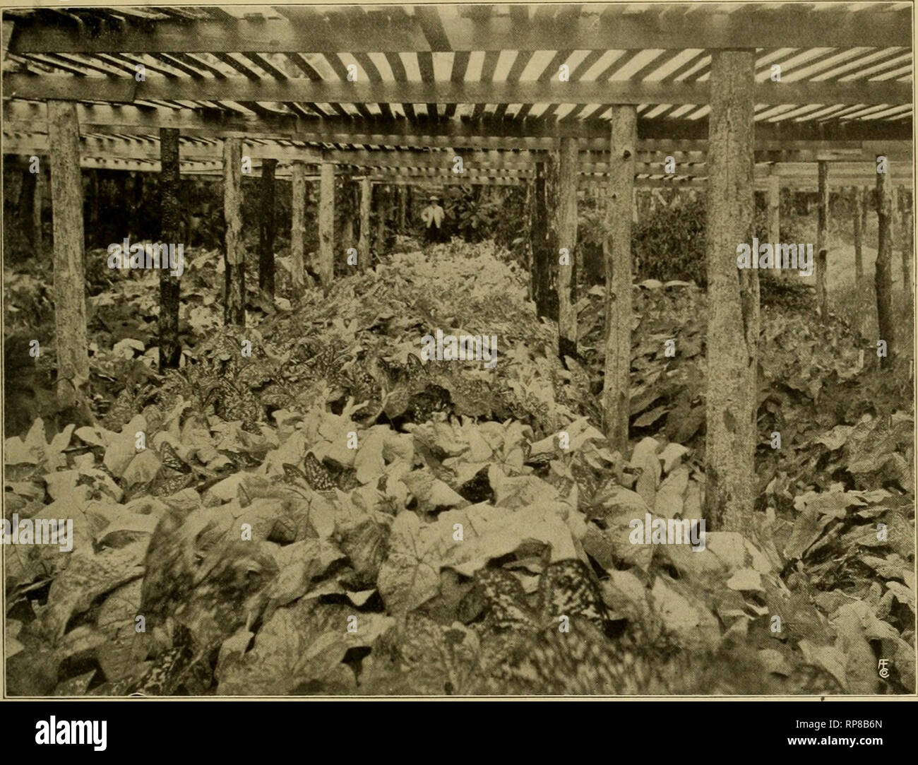 Reflec Tions High Resolution Stock Photography and Images - Alamy