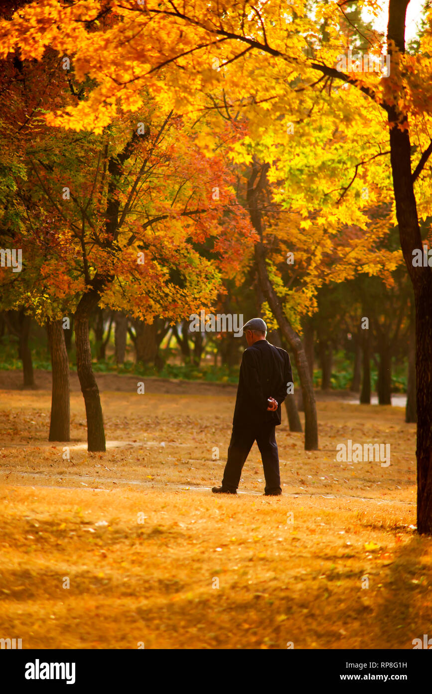 Old man walking alone sunset hi-res stock photography and images - Alamy
