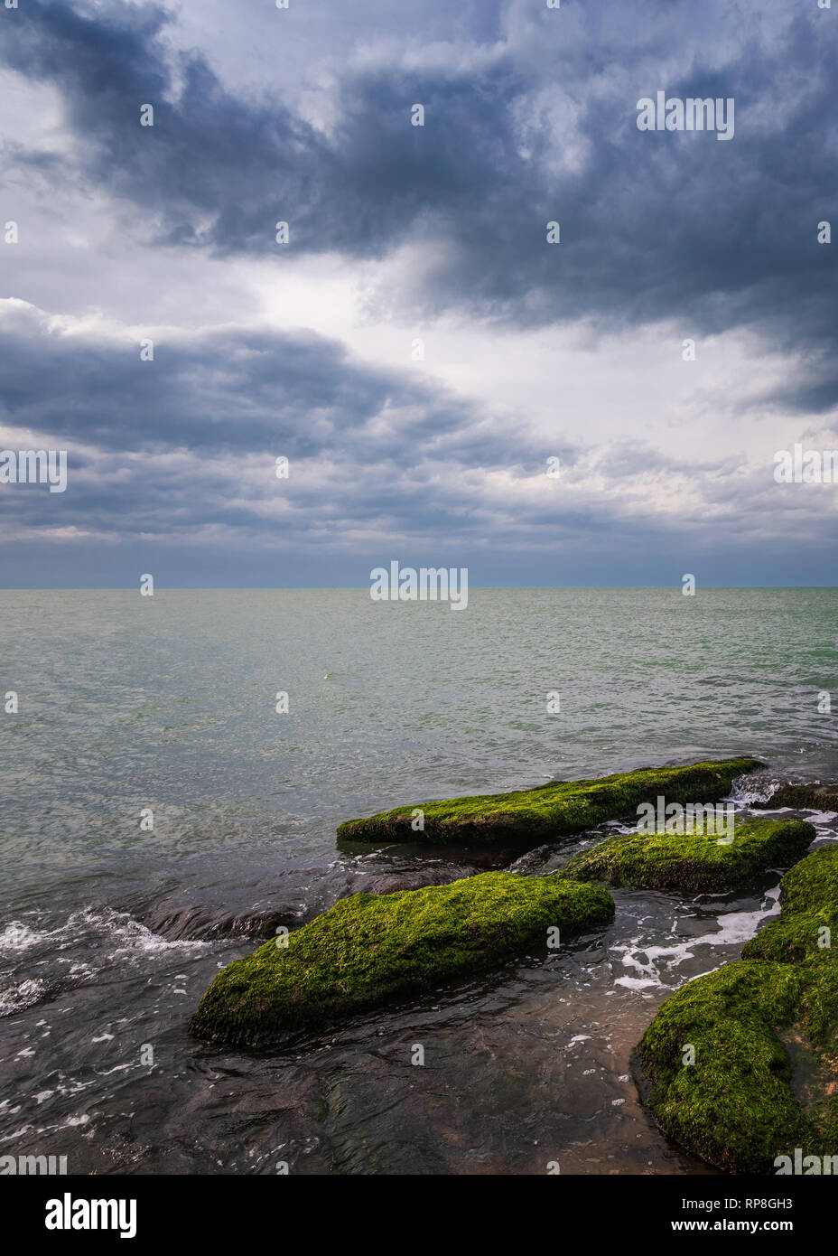 Colorful sea shore with green algae Stock Photo - Alamy