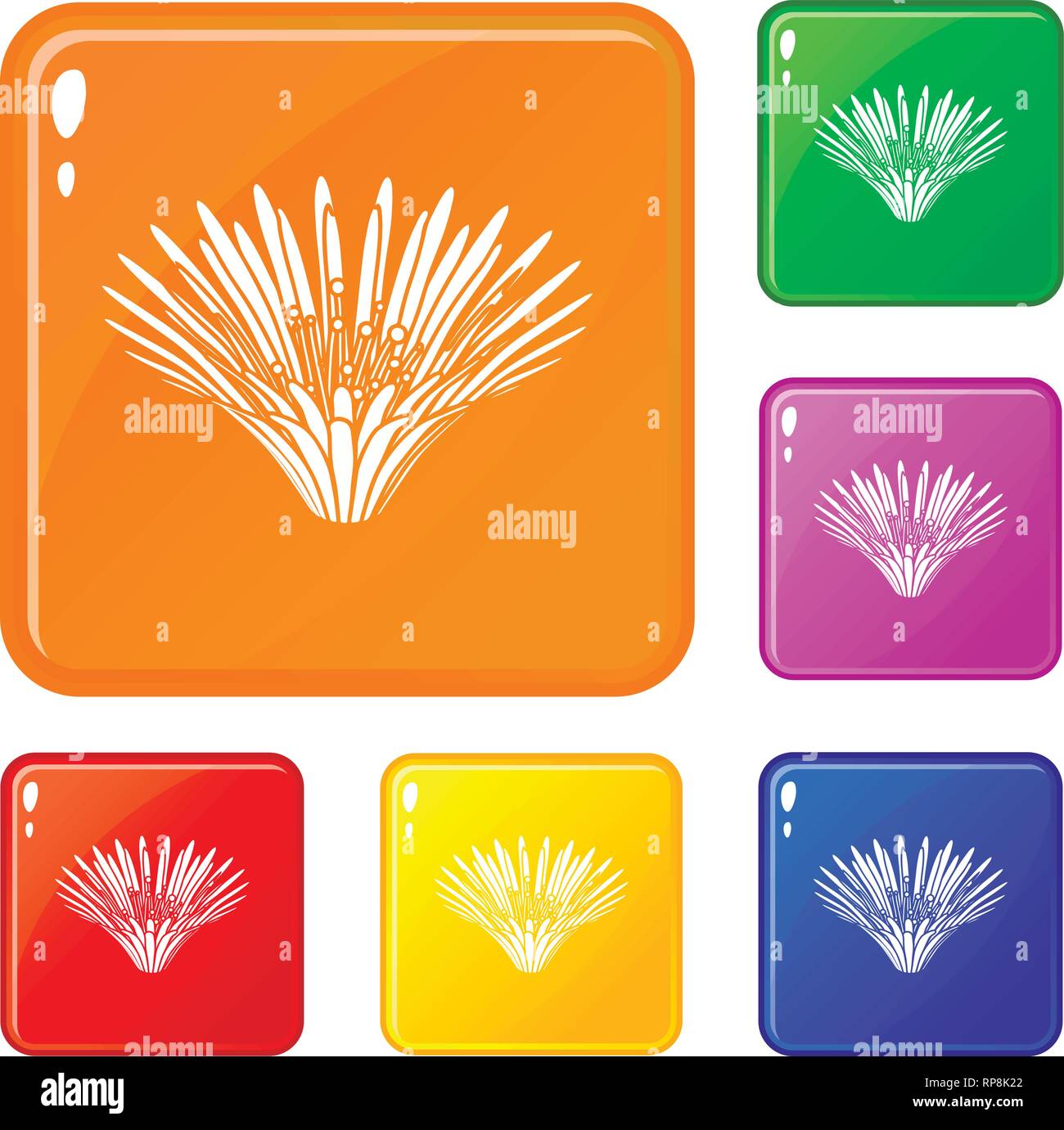 Beautiful flower icons set vector color Stock Vector Image & Art - Alamy