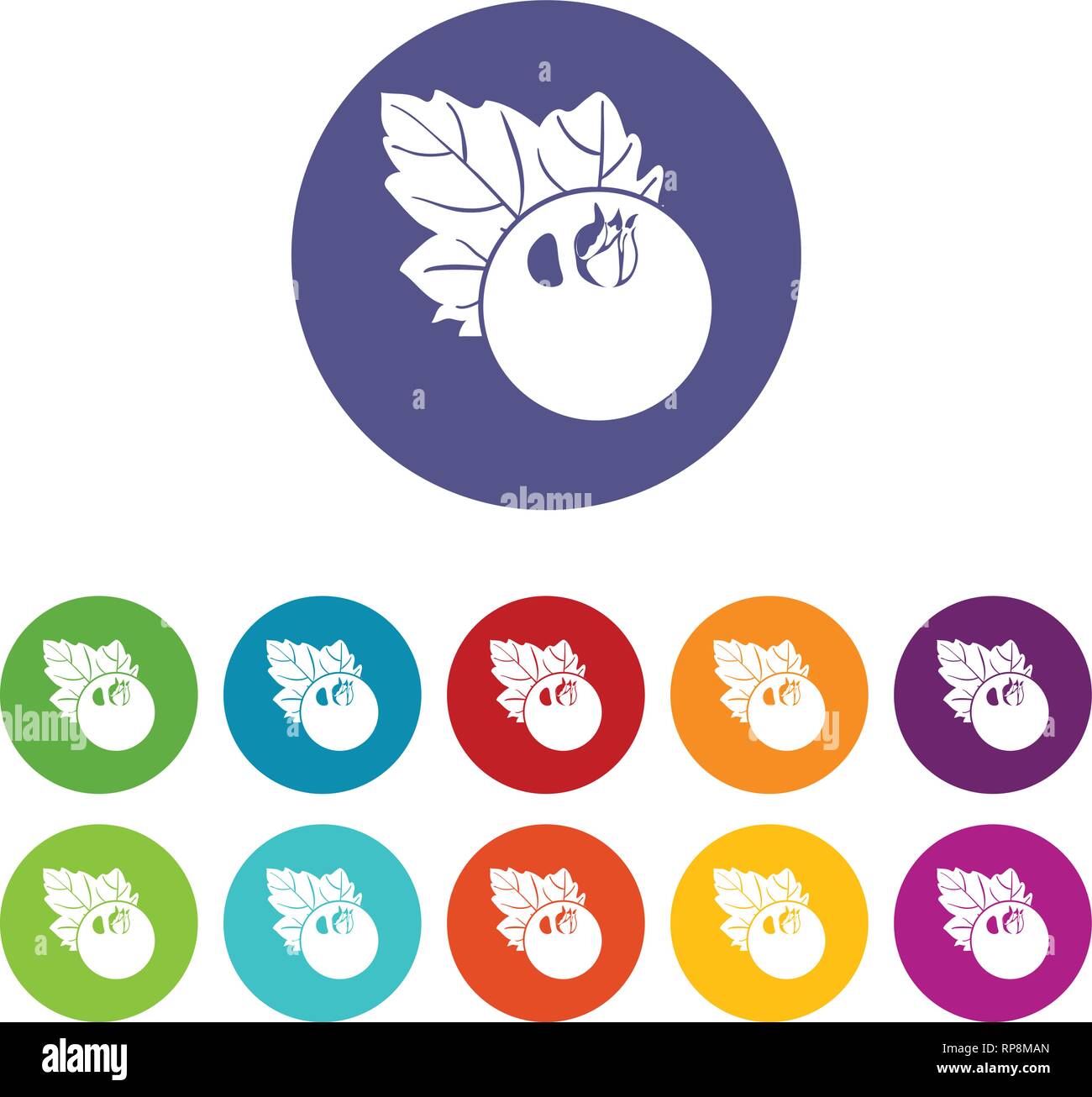 Currant icons set vector color Stock Vector Image & Art - Alamy